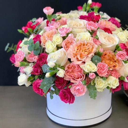 Deluxy Il primo servizio di Luxury Delivery – DELUXY